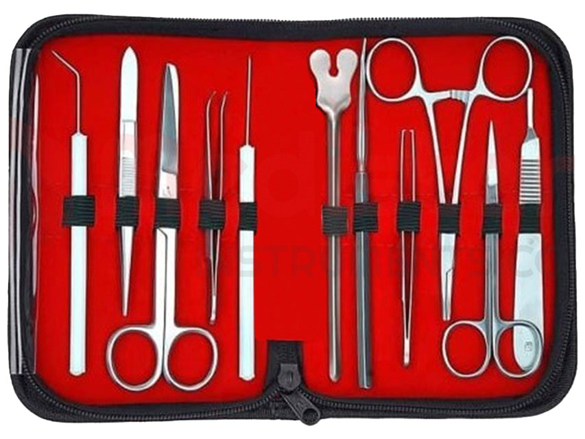KIT DISSEZIONE IN ACCIAIO INOX AISI 202 PER ESERCITAZIONE - 11 pezzi ...